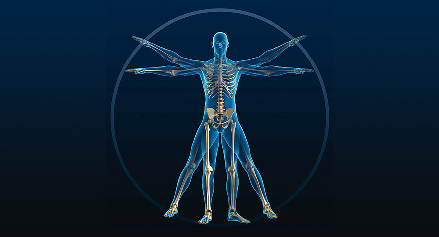 Posturologie - L'influx