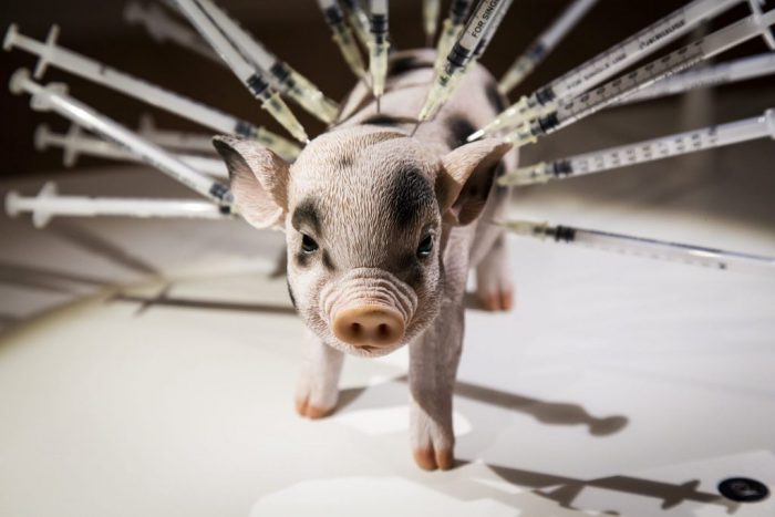 Musée de la "nourriture dégoûtante" - L'influx