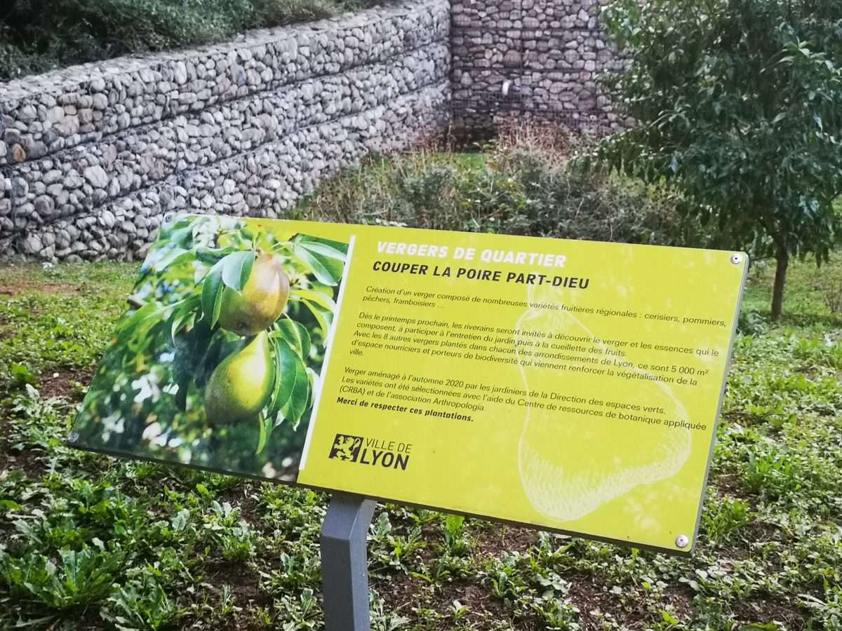 Lyon, quelle est ta Nature ? - L'influx